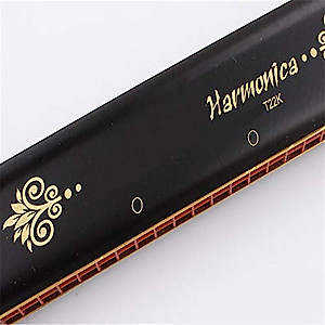 WAAZVXS T22K 22 Holes Harmonica Mouth Organ Harp Instrumentos ABS Comb Key C Professional Musical Instruments (Color : Key of Db)