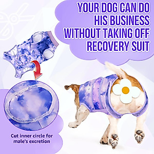 Lukovee Recovery Suit for Dogs, Zipper On Recovery Suit for Female Male Dog, Onesie Abdominal Wounds Cone E-Collar Alternative Prevent Licking Spay Recovery Suit (Purple Tie-dye,Large)