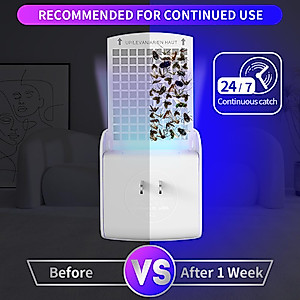 Frogoom Flying Insect Trap, Fruit Fly Traps for Indoors Gnat, Mosquito, Moth and Housefly, Plug-in Bug Light UV Attractant Catcher Fly Traps Indoor for Home Office - No Odor (2 Device + 10 Glue Cards)