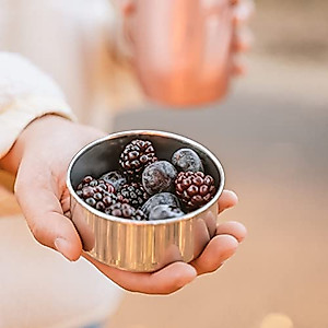 U Konserve Stainless Steel Food-Storage Set With Clear Airtight Lids, Dishwasher Safe, Bento Box Lunch Containers BPA Free (Set of 4)