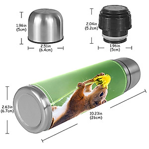 Stainless Steel Vacuum Insulated Mug, Red Squirrel Green Print Thermos Water Bottle for Hot and Cold Drinks Kids Adults 17 Oz