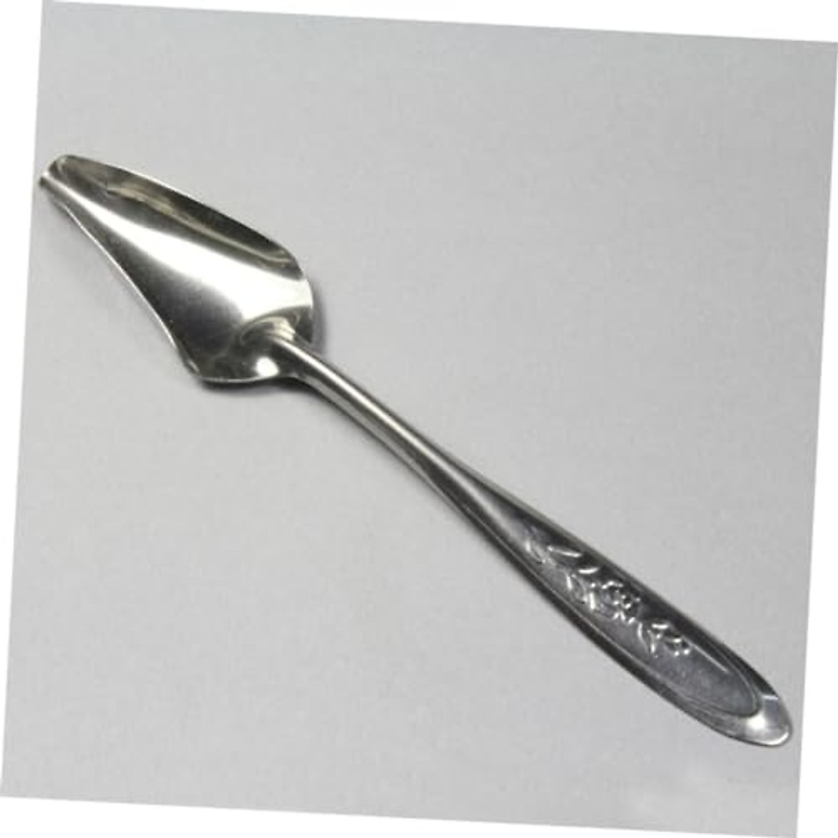 CORHAD 12 Pcs Feeding Spoon Bird Feeding Tool Hamster Spoon Pet Food Spoon Pet Milk Spoon Bird Parrot Spoon Hamster Feeding Tools Bird Feeding Scoop Bird Feeding Supplies Silver