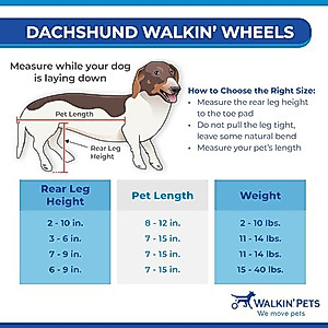 Dachshund Wheelchair - for Small Dogs 2-30+ Pounds - Veterinarian Approved - Dog Wheelchair for Back Legs