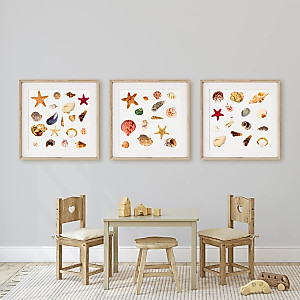 WOYINIS Lifelike 3D Seashells Wall Decals, DIY Removable Conch Scallop Starfish Wall Stickers, Peel & Stick Beach Wall Decals for Living Room Bedroom Kids Room Playroom Nursery Bathroom Decor