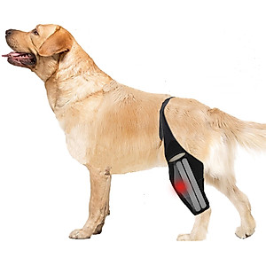 Dog Knee Brace for ACL with Side Stabilizers,Splint Hinged Adjustable Support Brace for Knee Cap Dislocation, Arthritis Keeps Joint,Hip Brace of Different Sizes for Cruciate Ligament Injuries (XS)