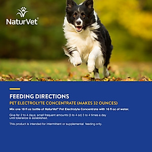 NaturVet Pet Electrolyte Concentrate for Dogs and Cats, 16 oz Liquid Concentrate, Made in The USA with Globally Source Ingredients