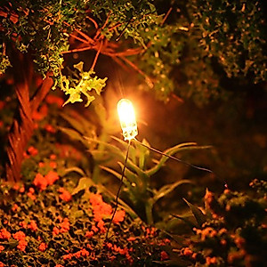 MP02W 100pcs 3mm Clear Miniature 12V 60mA Grain of Wheat Bulbs Warm White for Model Train Layout or Architectural Project