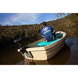 Watersnake Tracer Transom Mount Trolling Freshwater Motor (30-Pound Thrust, 30-Inch Shaft, 12-Volt)