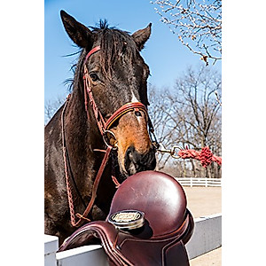 Bickmore Saddle Soap Plus - 2.8oz - Leather Cleaner & Conditioner with Lanolin - Restorer, Moisturizer, and Protector