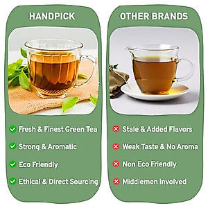 HANDPICK, Organic Green Tea Bags - 100 Tea Bags | Resealable Bag, Round & Eco-friendly Tea Bags | Direct From India