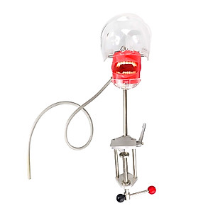 Dental Simulator Manikin Phantom Head Teeth Model Training Bench Mount Fix on Desk