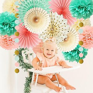 Mint Green Cream Pink Party Decoration Mint Peach Birthday Tissue Paper Pom Poms Paper Fans Circle Dot Garlands for Grils Mint Birthday Party Baby Shower Bridal Shower Wedding Party Decorations