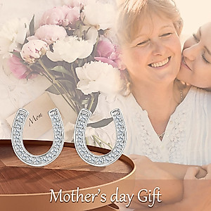 EVER FAITH 925 Sterling Silver Elegant Pave Cubic Zirconia Lucky Horseshoe Stud Earrings Clear