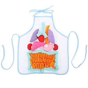 NUOBESTY 3D Apron Anatomy Apron Human Body Organs Awareness Educational Tool for Home Preschool Teaching Aid 64cm Educational