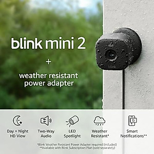 Blink Mini 2 (Newest Model) + Weather Resistant Adapter — Indoor/Outdoor Home Security & Pet Camera(s) with HD video, motion detection, and built-in spotlight — 2 cameras (Black)
