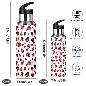 Ladybugs Pattern Insulated Water Bottle with Straw, Stainless Steel Sports Water Bottles, Double Wall Vacuum, Leakproof, BPA-Free 20 oz