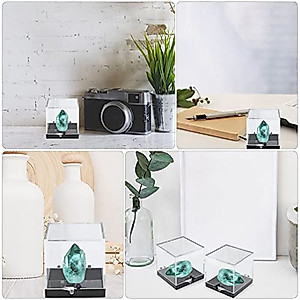 Cabilock Clear Specimen Display Cases 12pcs Plastic Mineral Specimen Storage Cases Square Sample Displaying Boxes Jewelry Organizer Tray