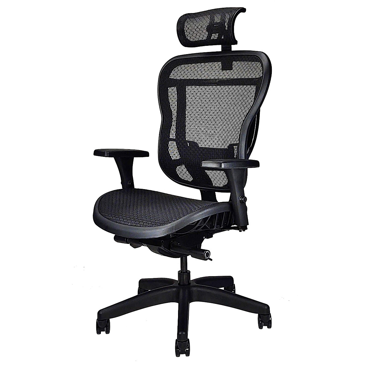 Oak Hollow Furniture Aloria Series Office Chair Ergonomic Executive Computer Chair Mesh Seat and Backrest, Adjustable and Comfortable, Lumbar Support Swivel and Tilt (Headrest, Black)