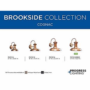 Progress Lighting P5721-14 Brookside Outdoor, 8-Inch Width x 9-3/4-Inch Height, Brown