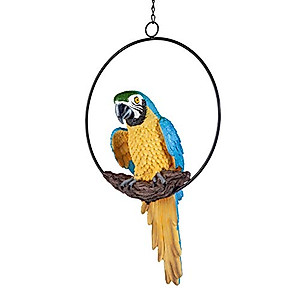 Design Toscano Polly in Paradise Parrot Hanging Bird Ring Perch Statue, Medium, Full Color Finish