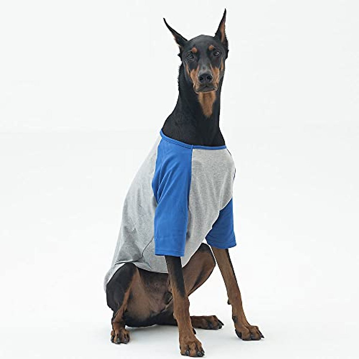 Lucky Petter Dog Shirt for Small and Large Dogs Raglan Cotton T-Shirts Soft Breathable Dog Shirts pet Clothes Gray Series (3X-Large, Gray/Blue)