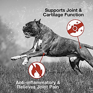 Nutriline Labs Flex EZ Dog Glucosamine Chondroitin Chewable Hip and Joint Supplement for Dogs Chews Treats with MSM and Turmeric, for Large/Giant Breeds (150 Soft Chews)