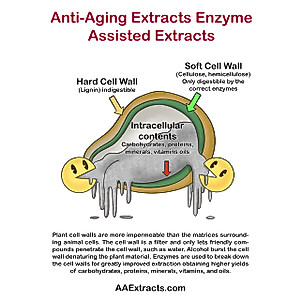 Anti-Aging Extracts Skincare Grade Green Tea Extract HAS MOVED search ASIN B0CZMCB333