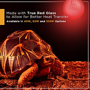 Bluex Bulbs 4 Pack A19 60W Red Night Reptile Heat Bulb - Night Basking Light E26 - Terrarium Heat Source for Lizards Turtles Snakes & Bearded Dragons Promotes Appetite Metabolism & Natural Behavior