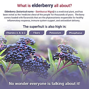 Certified USDA - 100% Organic Dried Elderberries - 1lb Bulk - Non-Irradiated, Non-Gmo, Whole Black Elderberry Immune Support For Making Elder Syrup, Gummies, Tea - Raw Vegan Sambucus 1 Pound