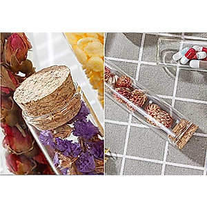 10PCS 40ml 1.4oz Transparent Small Glass Vials Bottles Jars Test Tube Container With Wood Cork Round for Straight Cylinder Test Reagent Bottle Flower Tea Split Powder Bottle