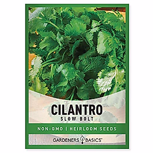 Cilantro Seeds for Planting Heirloom Non-GMO Herb Coriander Plant Seeds for Home Herb Garden Vegetables Makes a Great Gift for Gardening by Gardeners Basics