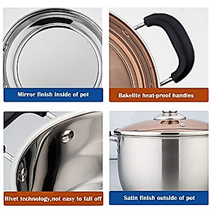 Stainless Steel Stock Pot, P&P CHEF 3 Quart Pot with Lid, Heat-Proof Double Handles - Sliver Stainless Steel Pot and Glass Lid