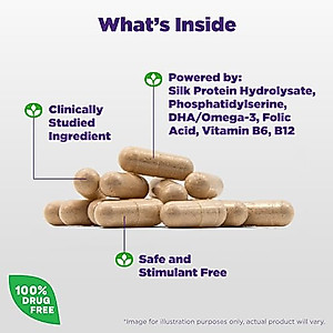 Natrol Cognium Complete, Dietary Supplement for Brain Health, Brain Health Supplements for Adults, 60 Capsules, 30 Day Supply