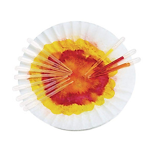 Colorations Super Safe 1-Piece Transparent Plastic Paint Dropper Pipettes For Kids - Set of 12