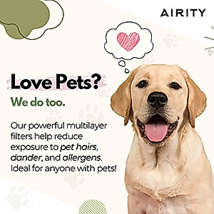 Airity 115115 Size 21 Replacement Filter A Compatible with Winix C535 Replacement Filter and Winix Filter A (2 Pack)