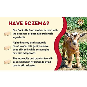 Goat Milk Stuff Goat Milk Soap - OCEAN SOAP | Handmade All-Natural, Goat Milk Soap Bars for Dry Skin Relief, Body & Face Wash for Men and Women, Bar Soap (Box of 2)