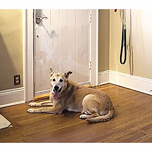 The Door Shield - Pet Scratch Protector