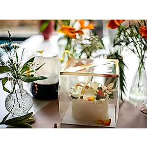 Zealax Cake Boxes with Cake Boards 6 Inch, 10pcs Clear Cake Box Storage Container Plastic Bakery Boxes for Packaging Small Cake Dount Chocolate, Gift Box for Wedding Party Graduation