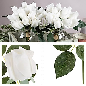 Pure Garden Rose Artificial Flowers - 24Pc Real Touch 11.5-Inch Fake Flower Set with Stems for Home Decor, Wedding, or Bridal/Baby Showers (White)
