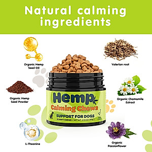 Zingly Hemp Calming Chews for Dogs Calming Treats Chews - Anxiety Relief Treats, Separation Anxiety Relief for Dogs Calming Treats Pet Calming Care Chews for Anti Anxiety Dogs, Bacon, 30 Counts