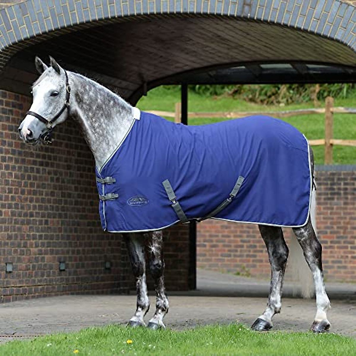 WeatherBeeta Cotton Show Sheet with Surcingles II Standard Neck - Dark Blue/Grey/White - 78"