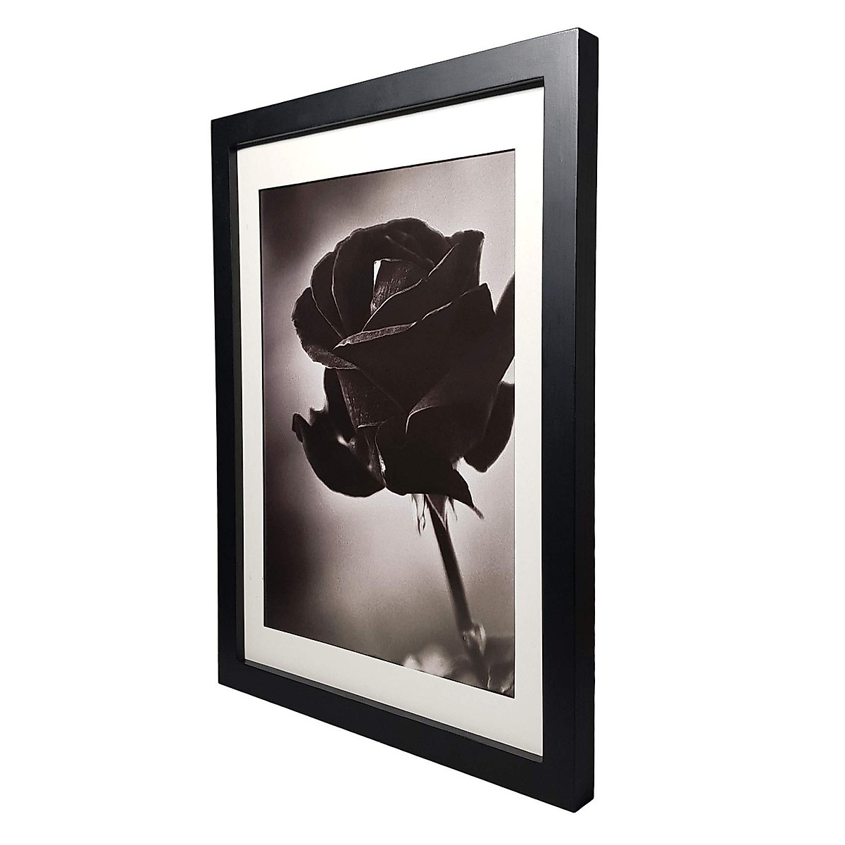 FUNTRESS Pictures Frame Collages for Diplomas Wall Hanging Poster Frame Wooden Living Room Pictures Frame with Mat (10x14 2 Pieces, Black)