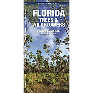 Florida Trees & Wildflowers: A Folding Pocket Guide to Familiar Plants (Nature Observation North America)