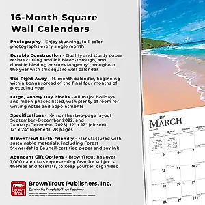 Puerto Rico | 2023 12 x 24 Inch Monthly Square Wall Calendar | BrownTrout | Travel Scenic Caribbean