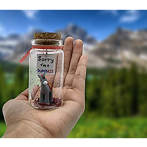 Apology Gift for Her or Him I'm Sorry Funny Gag Gift for Girlfriend or Boyfriend Miniature in a Bottle. Unique (Regretful)