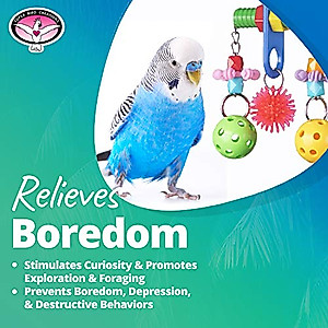 Super Bird Creations SB1087 Tug O' War Bird Toy, Small/Medium Bird Size, 6" x 3" x 1"