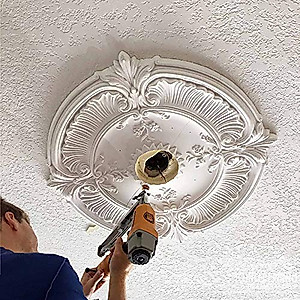 Ekena Millwork CM20VIUWF Vienna Ceiling Medallion, 20"OD x 3 1/2"ID x 1 1/2"P, Hand-Painted Ultra Pure White