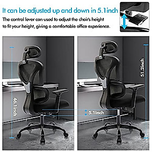 FelixKing Ergonomic Office Chair, Ergo 3D Computer Chair Breathable Mesh Desk Chair with Lumbar Support, High Back Gaming Chair with Adjustable Headrest and Armrests for Conference Room (Black)