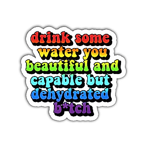 3 Pcs - Drink Some Water You Beautiful and Capable But Dehydrated Bitch Sticker Drink Some Water Sticker for Waterbottles Laptops Notebooks Cell Phones Bumpers Windows Locker A3