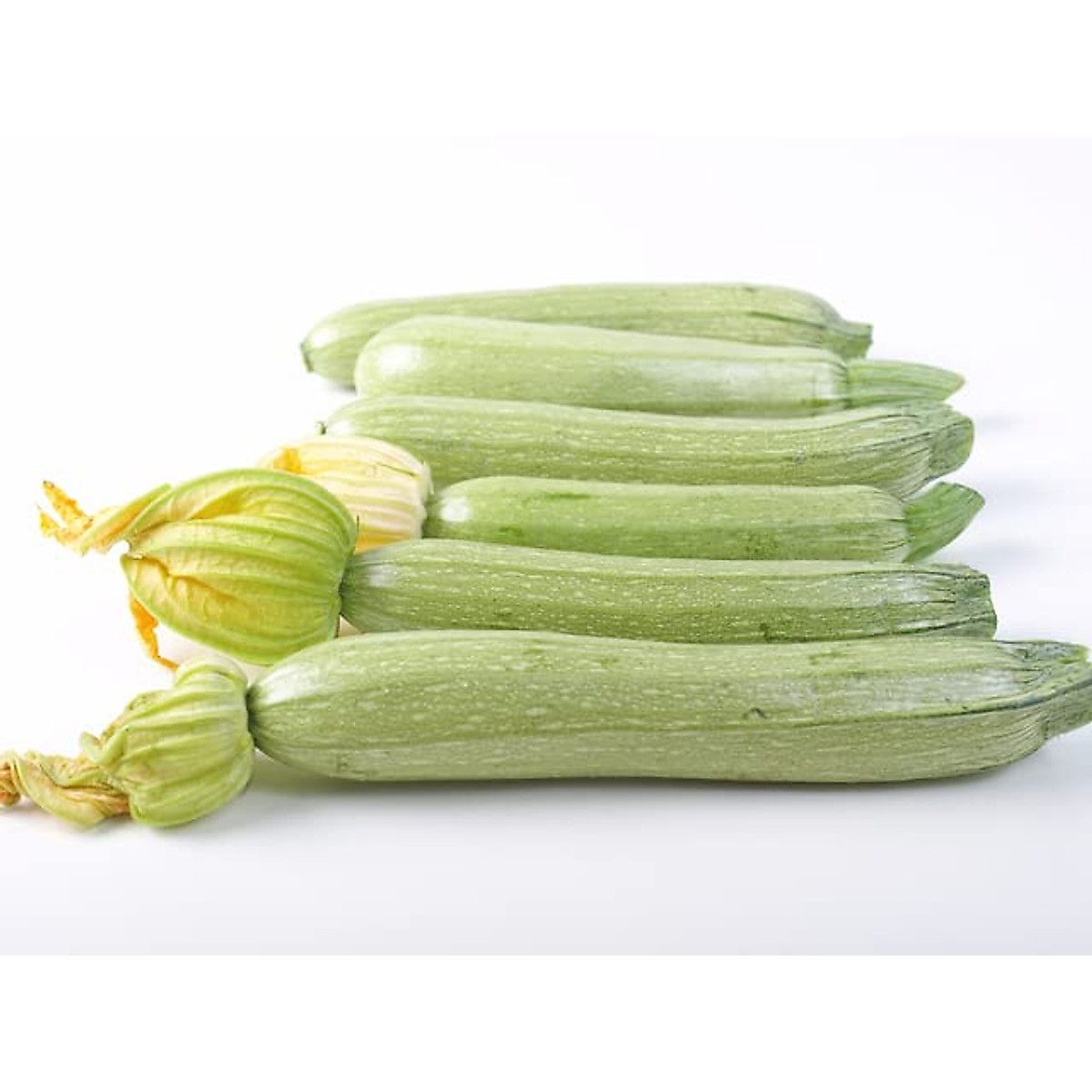 Italian Summer Squash - “Summer Grey Squash” Zucchini with Light Flavor| USA Grown Heirloom Seeds by Liliana's Garden |